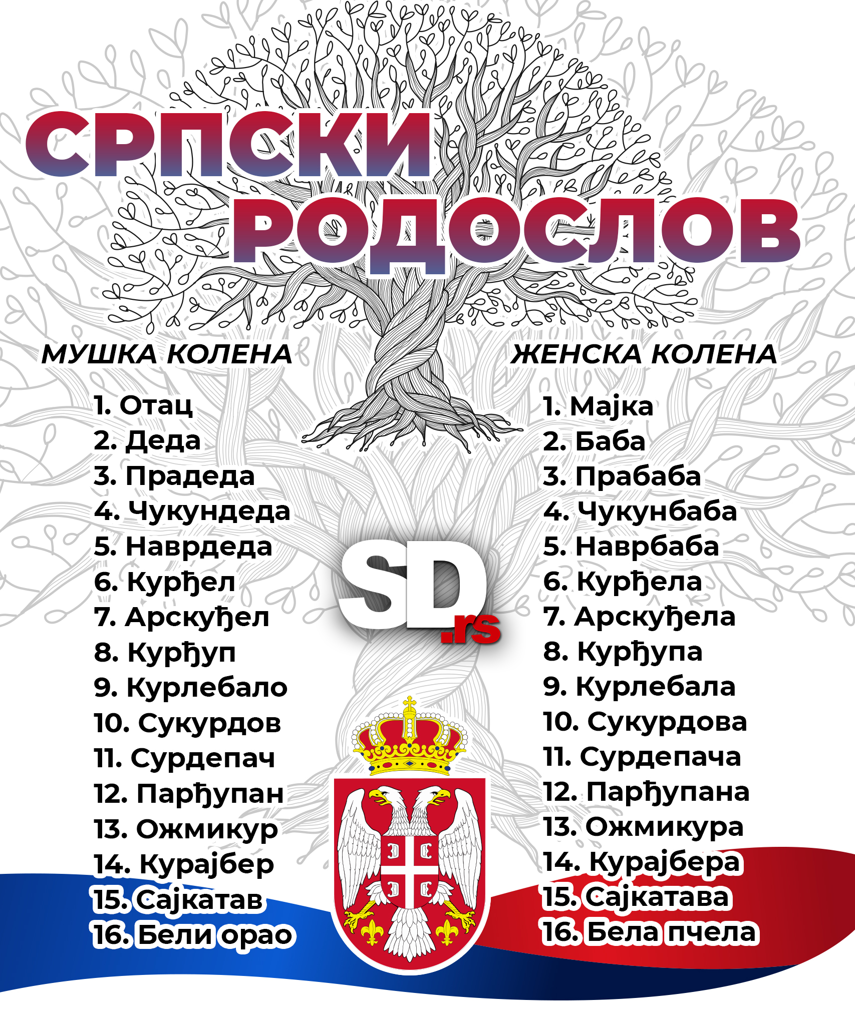 Ovo je SRPSKI RODOSLOV - Evo ko ide nakon ČUKUNDEDE, samo SRBI imaju ...