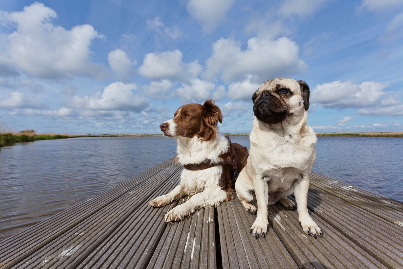 Sprej koji podstiče pristojno ponašanje