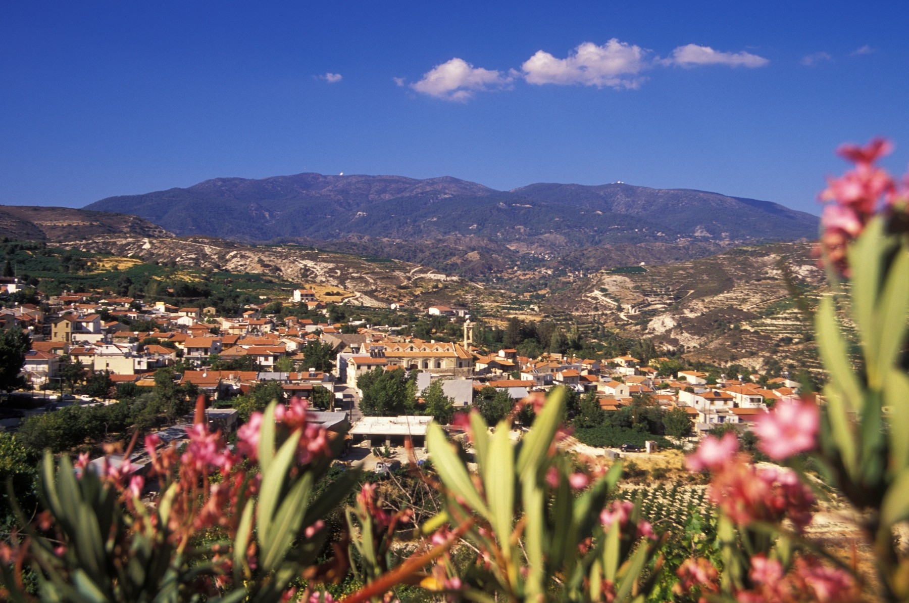 Kipar obeležio 40 godina turske okupacije severa