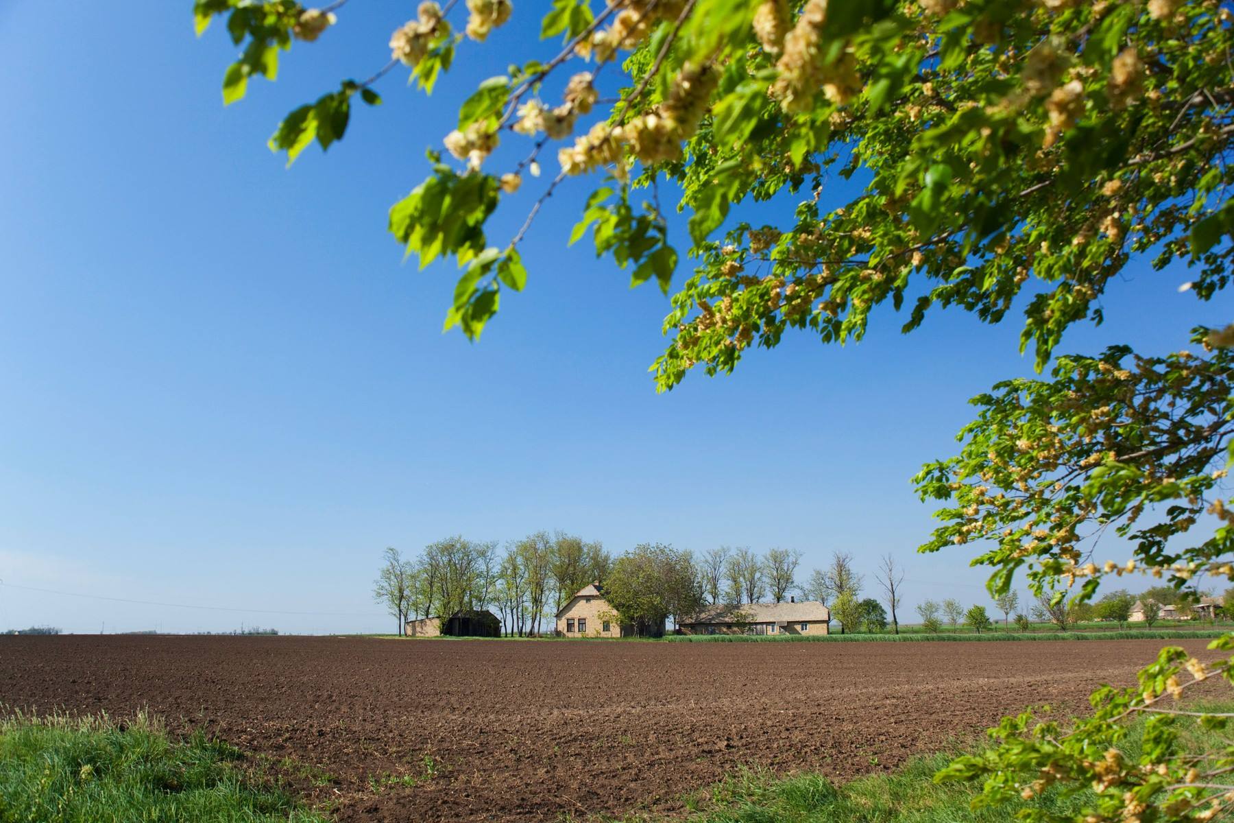 SELO U BANATU ima manje od 1.500 stanovnika, a Srbiju je po ovom ...