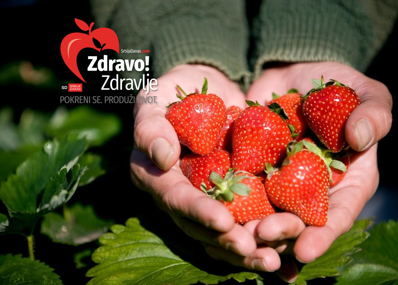 ORGANSKA PROIZVODNJA U SRBIJI: Mit ili je zaista najzdraviji izbor?