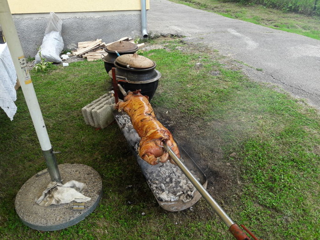 Hit u Srbiji! Kumovi okretali prase, jeli, a onda se punih stomaka ...