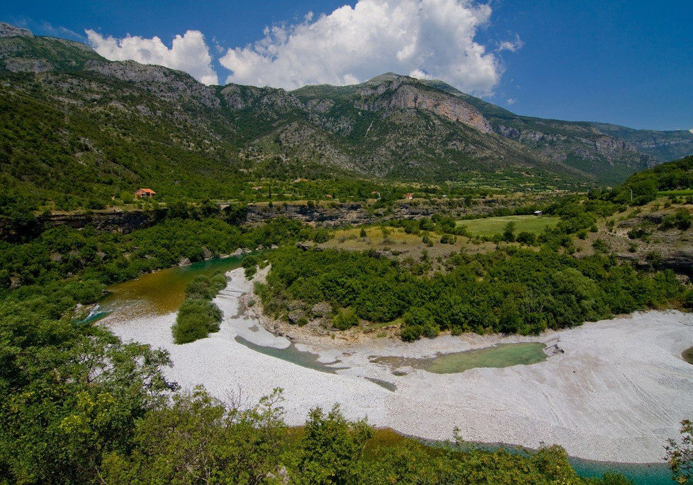 JEZIVE SCENE NA OBALI MORAČE: U toku je izvlačenje tela iz korita reke