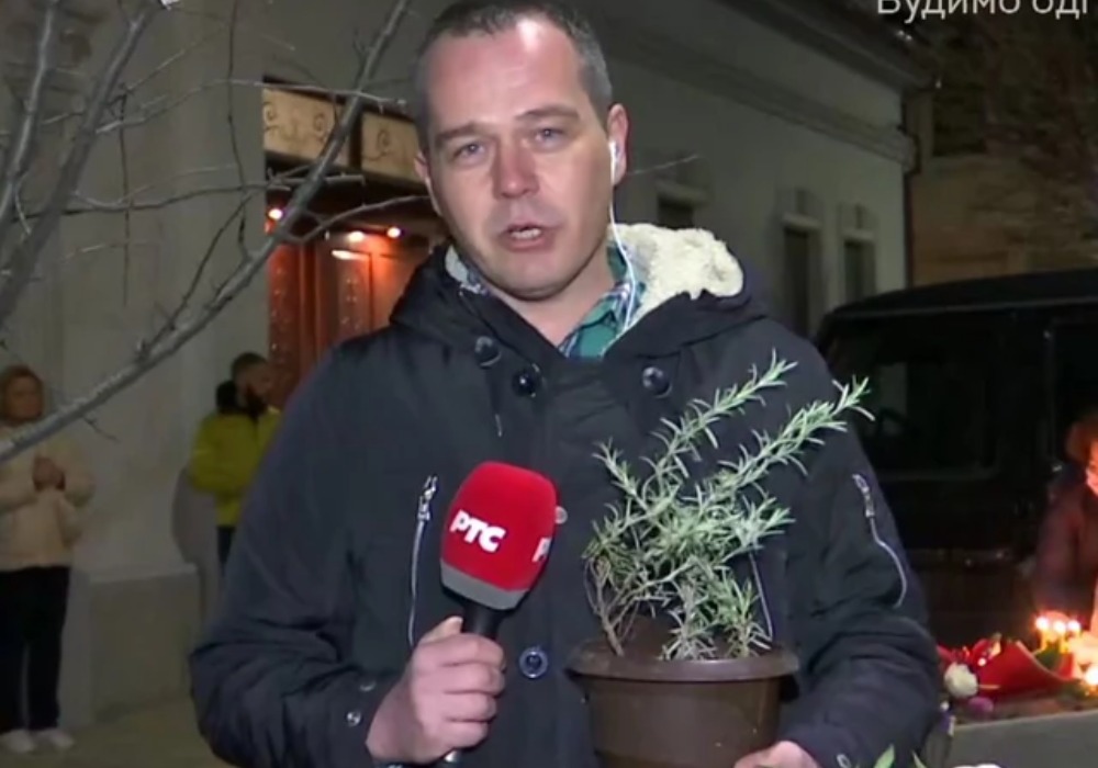 REPORTER RTS GRCA U SUZAMA ISPRED ĐOLETOVE KUĆE Ruzmarin i bele ruže za ...