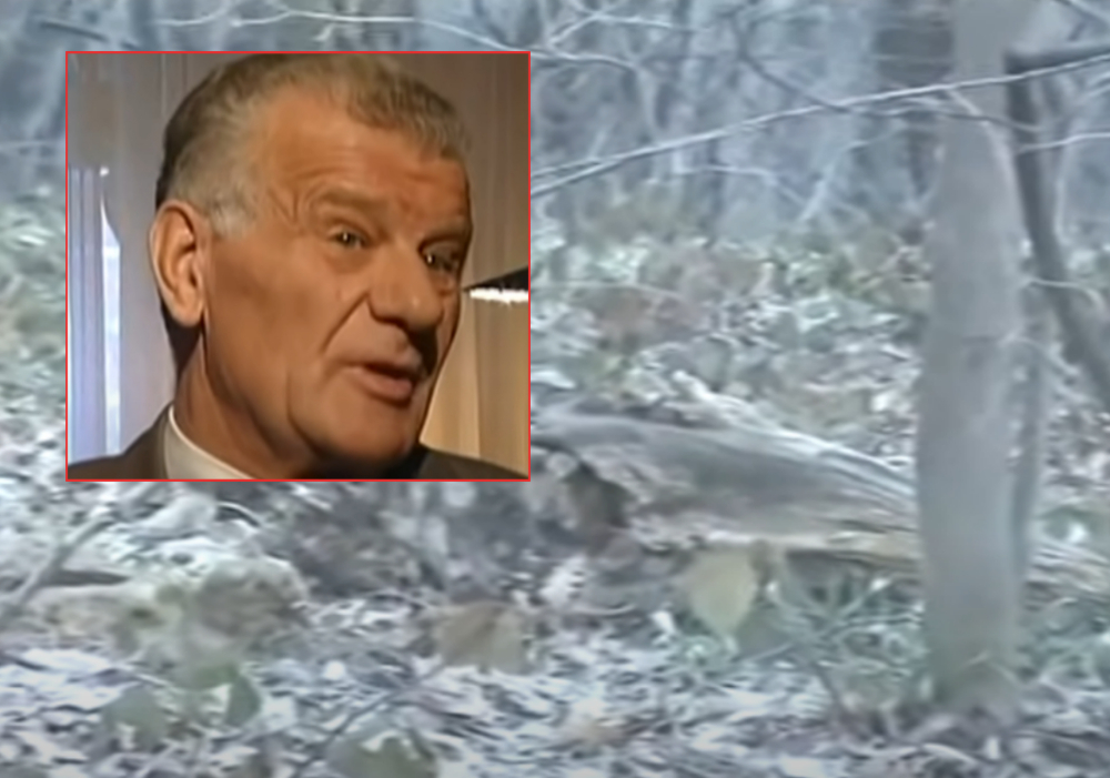 "STAMBOLIĆ BIO ŽIV DOK SU GA POLIVALI KREČOM" Čuveni forenzičar PRVI ...