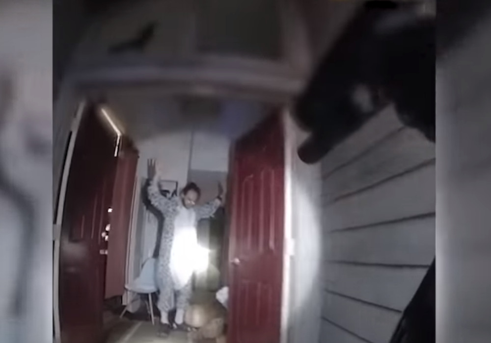 OBUKAO KOSTIM MAČKE I NOŽEM NAPAO CIMERA: Policija još uvek istražuje ...