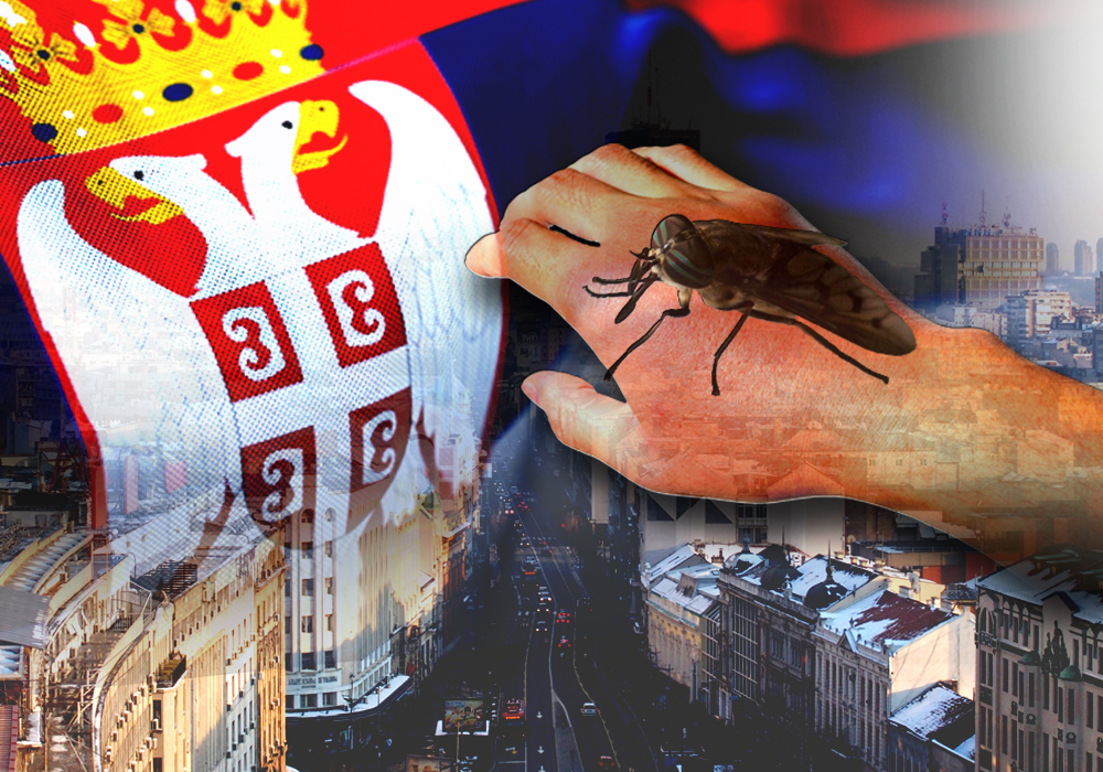 Profesor BIOLOŠKOG FAKULTETA UPOZORIO: Ukoliko vas ujede "Klintonka" u ...