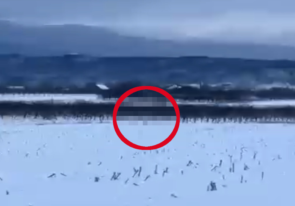 Čopor vukova usnimljen u selu Draguša