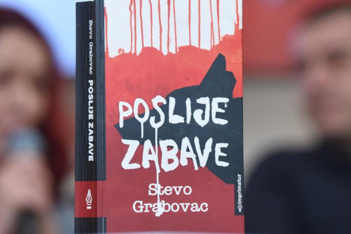 Poslije zabave radnja romana Steva Grabovca