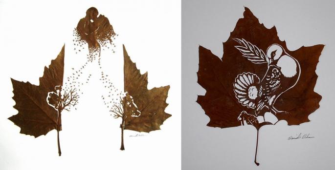 List drveta umesto lista papira (FOTO)