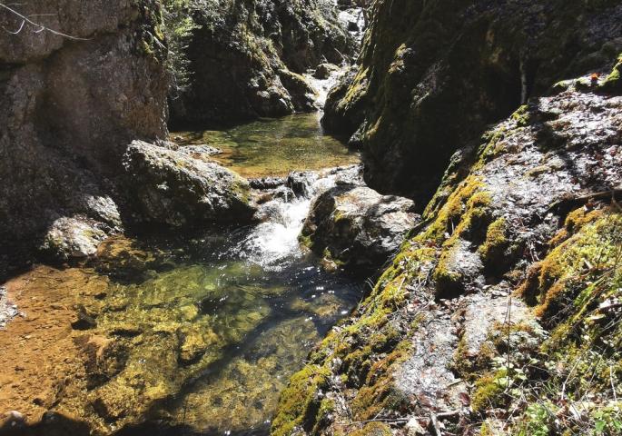 OVDE BOG NIJE ŠTEDEO NA LEPOTI PRIRODE: Pogledajte kako izgleda JEDAN ...