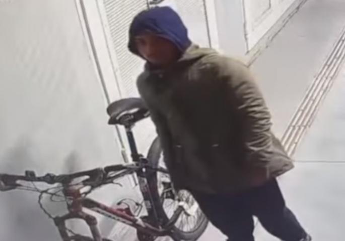 SNIMLJEN LOPOV KOJI HARA NA NOVOM BEOGRADU: Šetka se po zgradama i ...