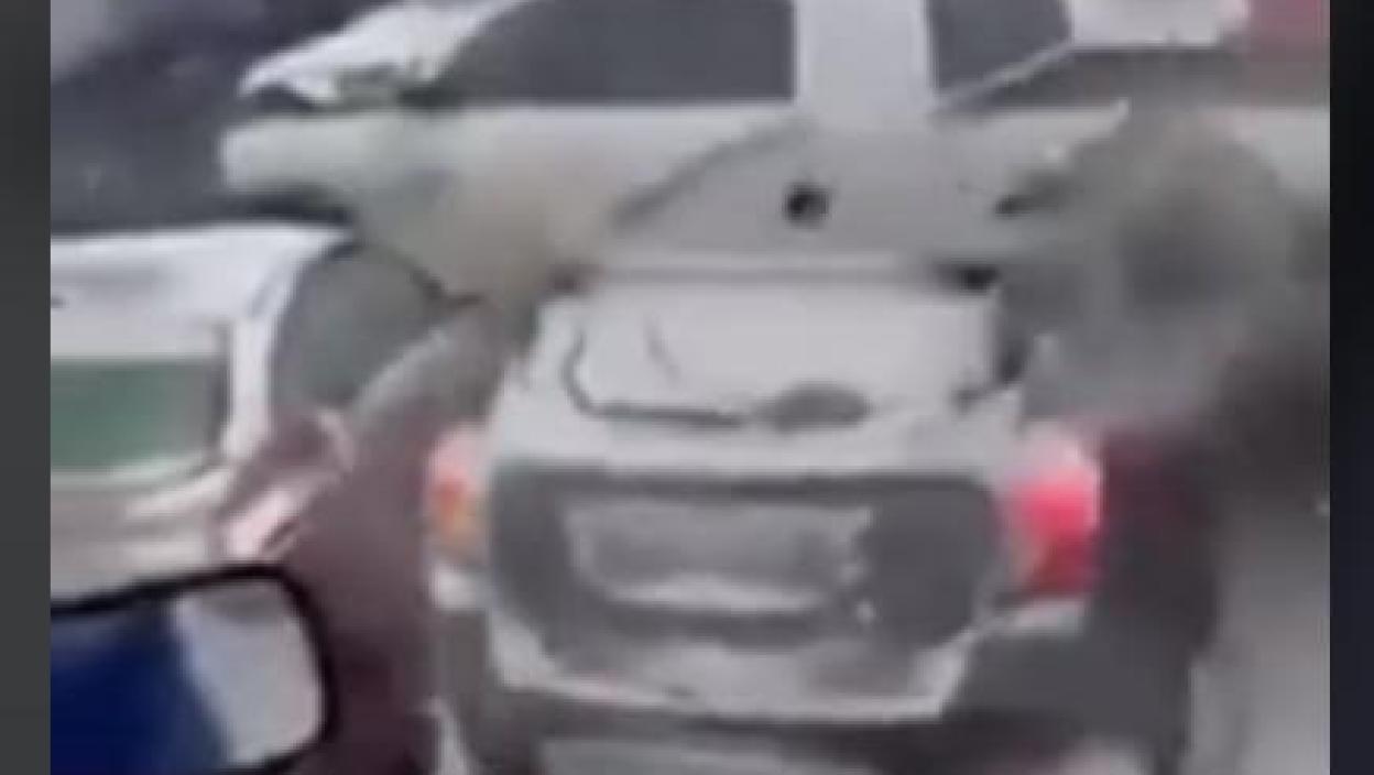 Sneg napravio kolaps na autoputu: Došlo do velikog lančanog sudara u kom je učestvovalo PET ...