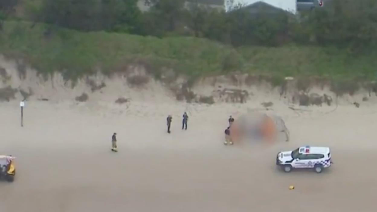 Tinejdžerku ubila ajkula: Devojčici nije bilo spasa, objavljeni jezivi snimci sa lica mesta ...