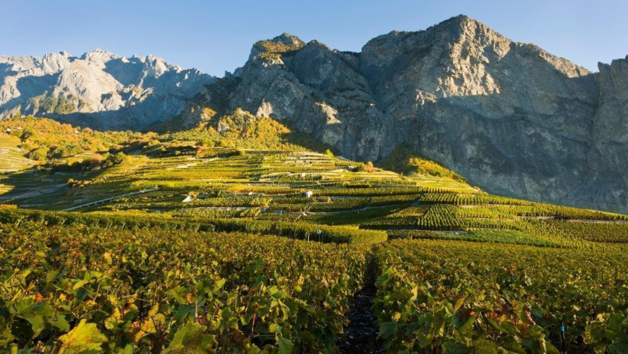 Једна је од најлепших НАШИХ ПЛАНИНА, са богатом историјом, а неправедно ...