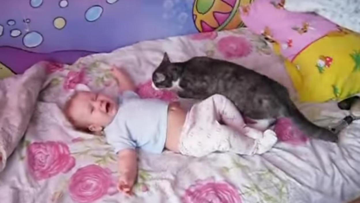 OTRGLA SE IZ RUKU: Beba je NEMOĆNO ležala, a kad je na nju skočila ...