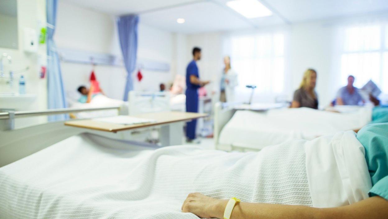 SRBIJI PRETI BESNILO? Ovde je otkriven prvi slučaj zaraze - NA UDARU I ...