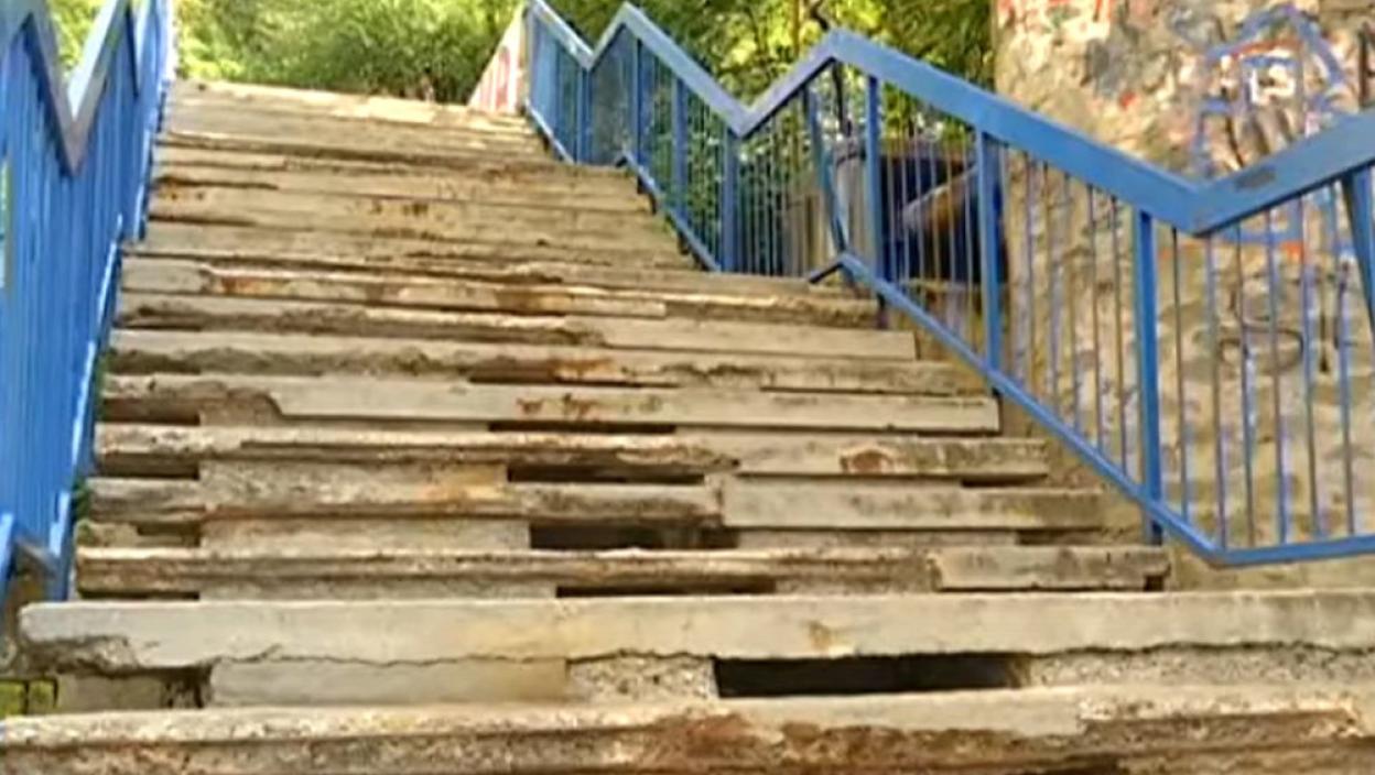 OPASNOST VREBA NA ČUKARIČKOJ PADINI: Čovek pao sa NAJOPASNIJIH ...