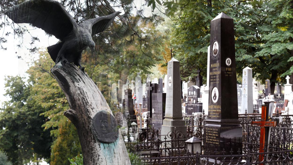 Znate li gde je najpoznatiji MUZEJ NA OTVORENOM? U srcu prestonice Novo ...