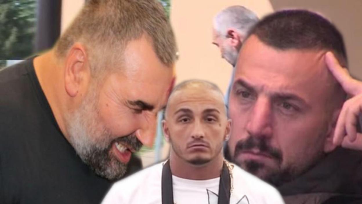 TOMOVIĆ TUKAO MIKIJA, VUK MOB SE UMEŠAO!? Pčelar pričao o TUČI pa ...
