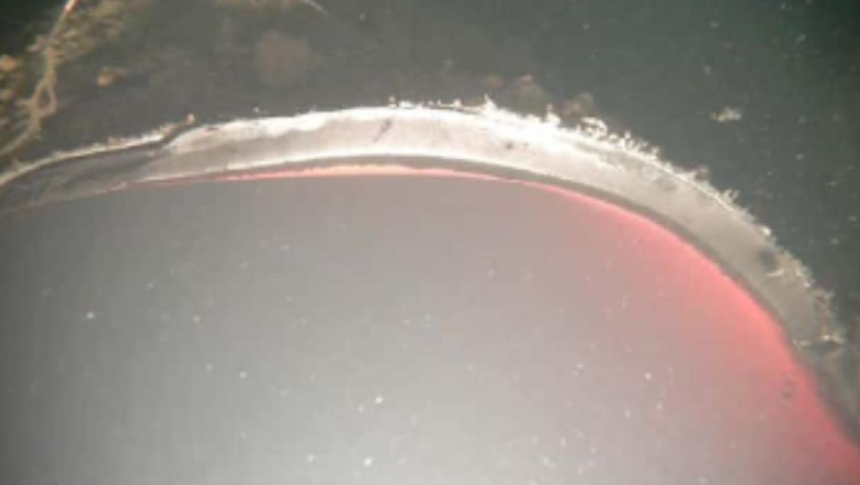 VLAST IM DALA EKSKLUZIVNU DOZVOLU! Švedski list objavio prve snimke ...