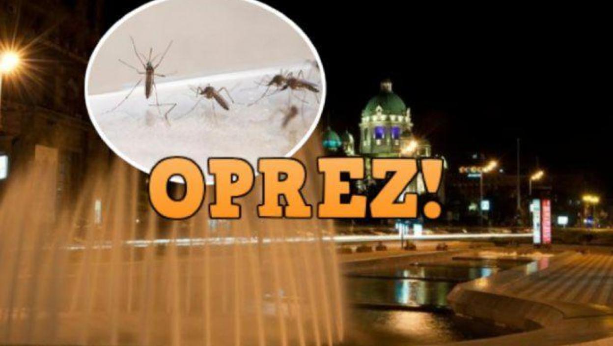 2 slučaja GROZNICE ZAPADNOG NILA u Srbiji: Ovo su simptomi virusa ...